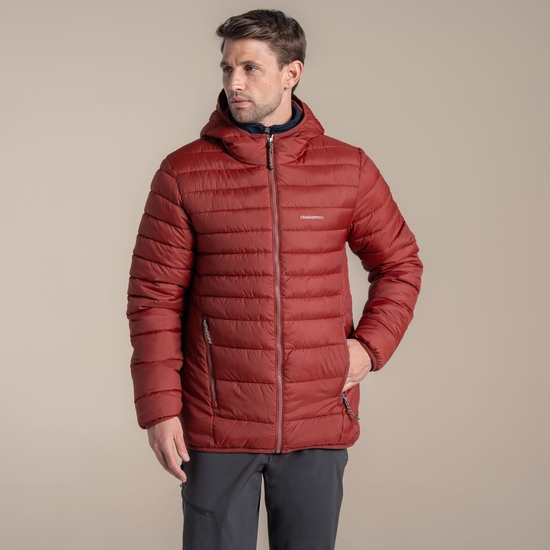 Men's Compresslite IX Hooded Insulating Jacket - Red Jasper | Craghoppers