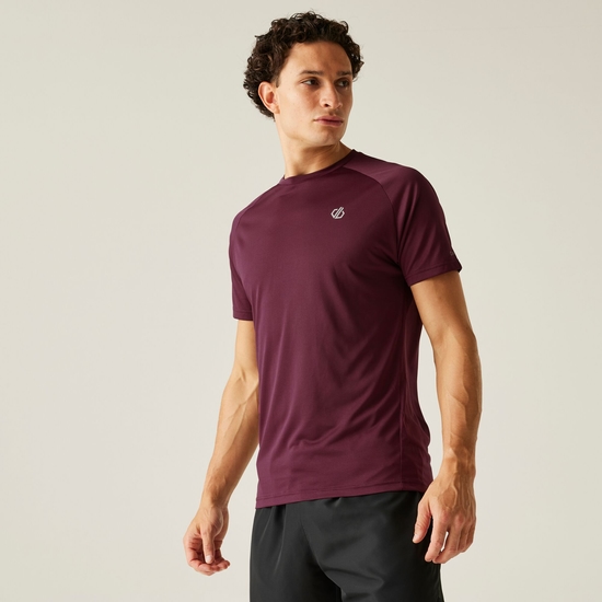Dare 2b - Men's Accelerate Fitness T-Shirt - Fig | Regatta