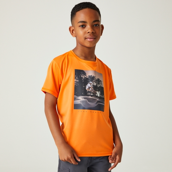 Kids' Alvardo VIII Graphic T-Shirt - Persimmon | Regatta UK Kids' Alvardo VIII Graphic T-Shirt - Persimmon | Regatta UK