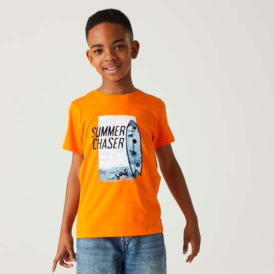 Kids' Bosley VII Graphic T-Shirt - Persimmon | Regatta UK Kids' Bosley VII Graphic T-Shirt - Persimmon | Regatta UK