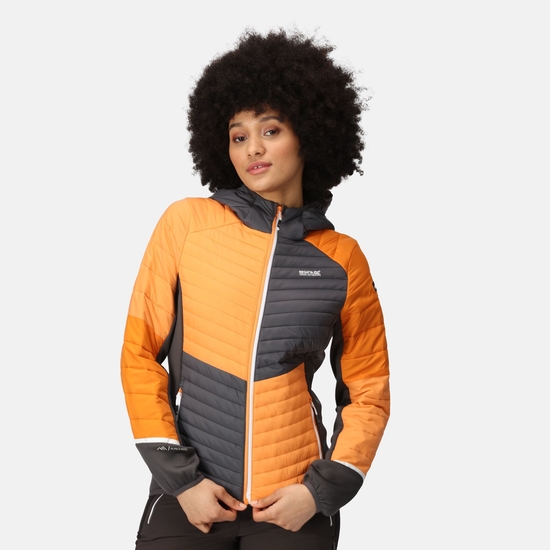 Women's Trutton II Baffled Jacket - Apricot Crush Seal Grey | Regatta ROW